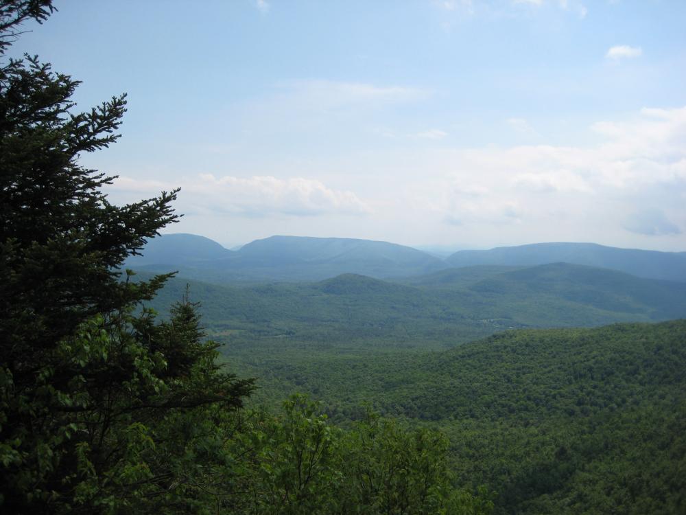 Birds and Climate Change | The New York State Museum