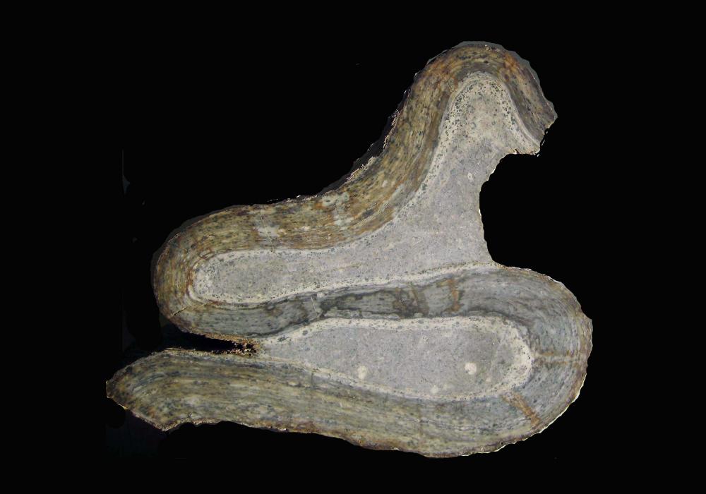 Rock Collection | The New York State Museum