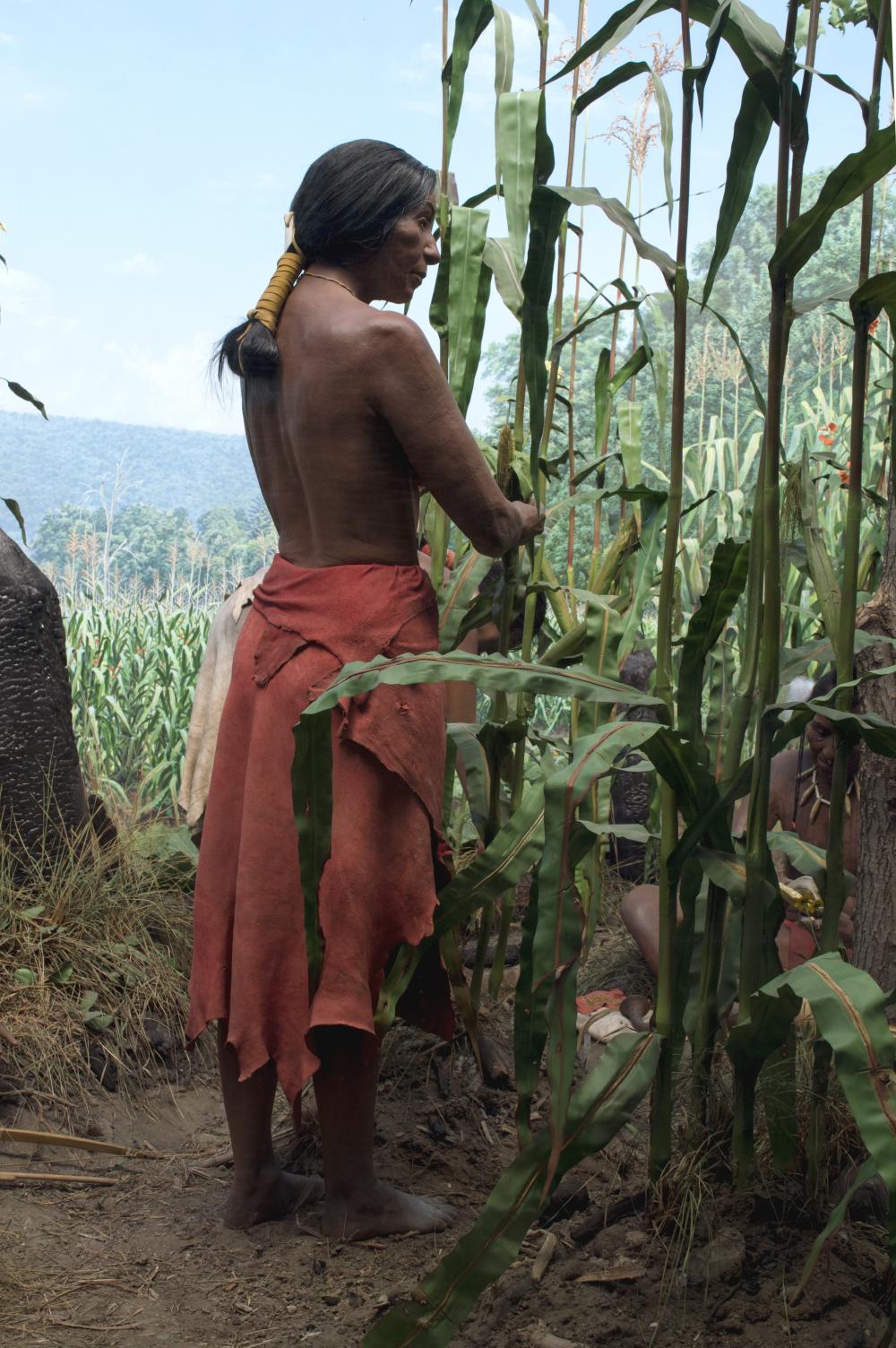 The Three Sisters Diorama | The New York State Museum