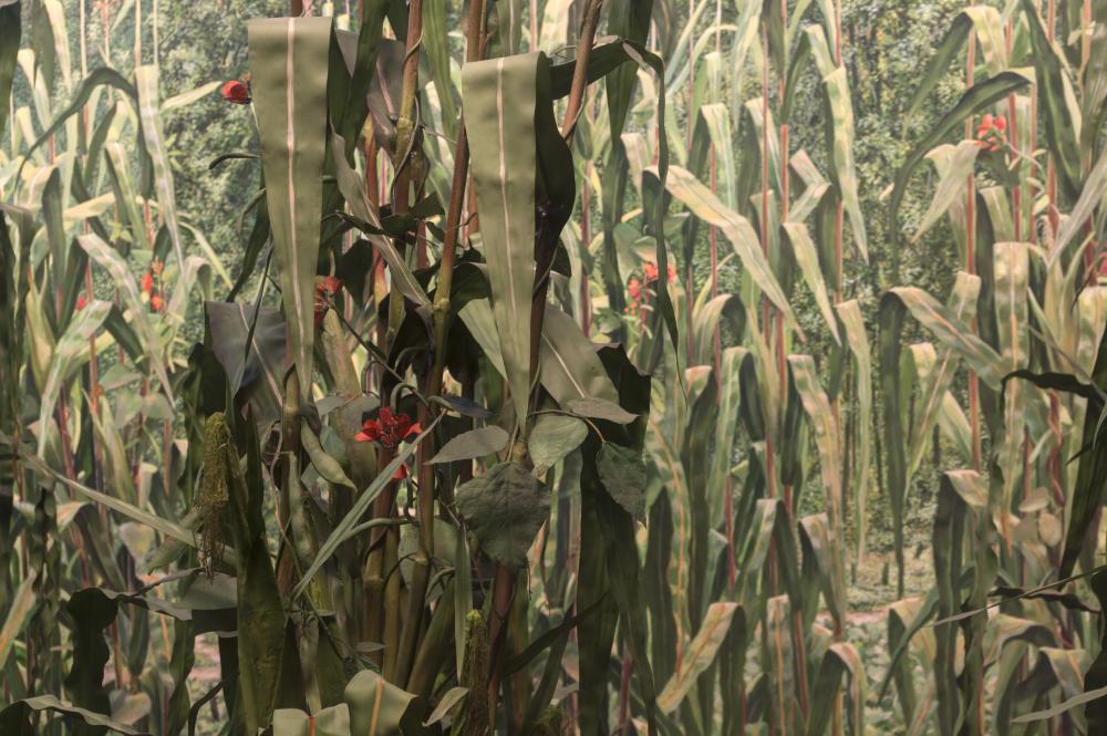 The Three Sisters Diorama | The New York State Museum